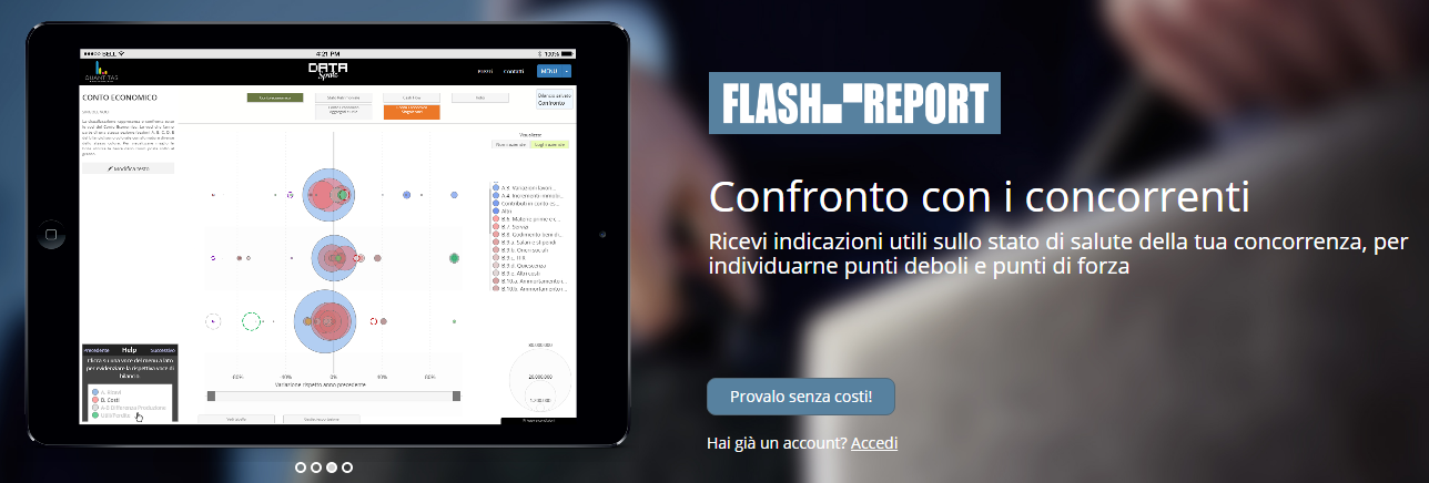 FLASH REPORT anima i tuoi dati di bilancio - Quantitas srl